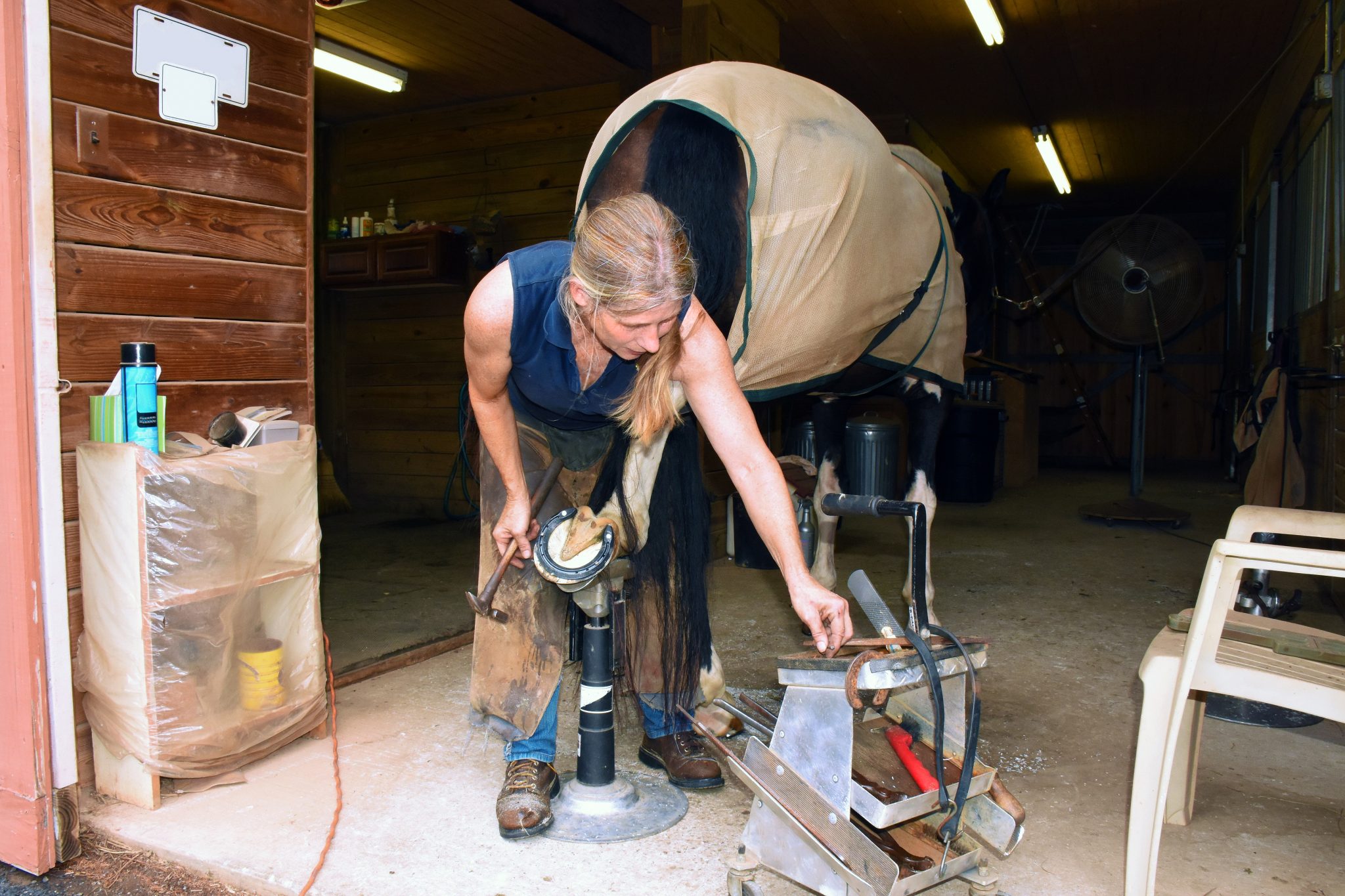 Finding a Farrier - Countryside